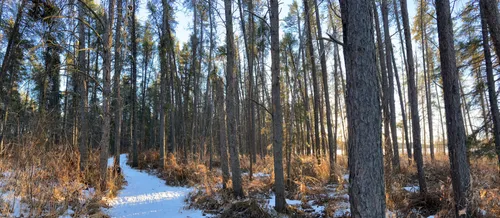 Best Hikes and Trails in Onoway | AllTrails