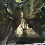 Patuna Chasm Walk, Wellington, New Zealand - 29 Reviews, Map | AllTrails