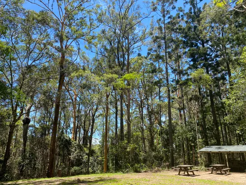 10 Best Trails and Hikes in Mount Nebo | AllTrails