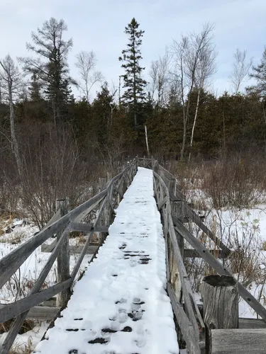 Best Hikes and Trails in Limerick Forest North | AllTrails