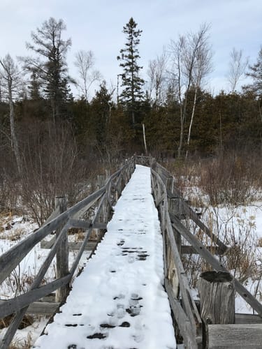 Best Hikes and Trails in Limerick Forest North | AllTrails