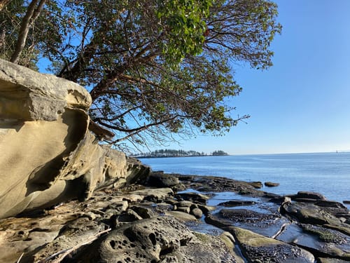 Best Hikes and Trails in Drumbeg Provincial Park | AllTrails