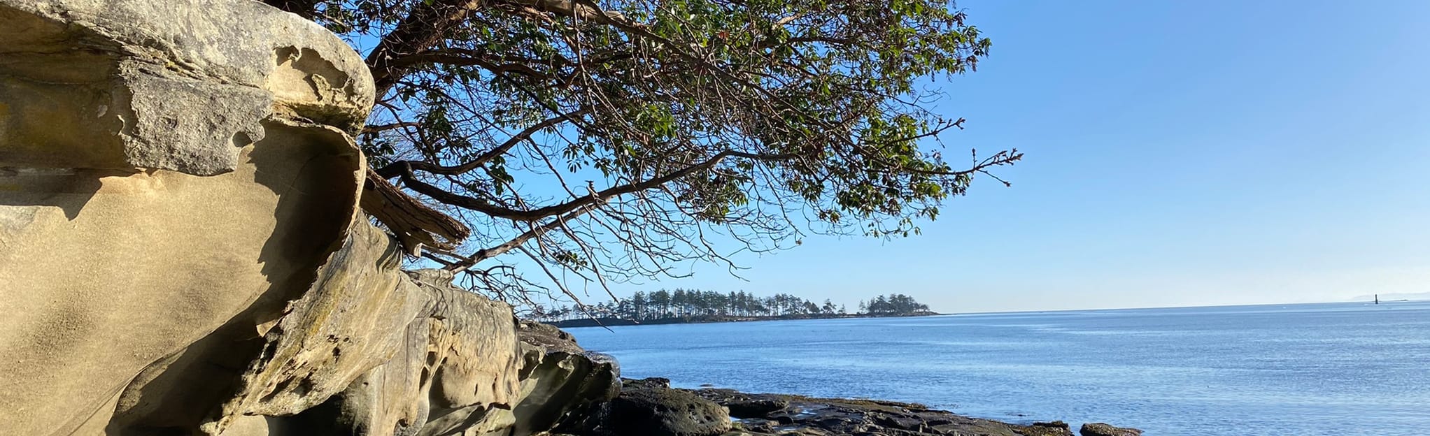 Drumbeg Provincial Park Loop, British Columbia, Canada - 86 Reviews ...