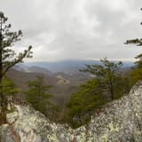 Redman Run Trail, West Virginia - 118 Reviews, Map | AllTrails