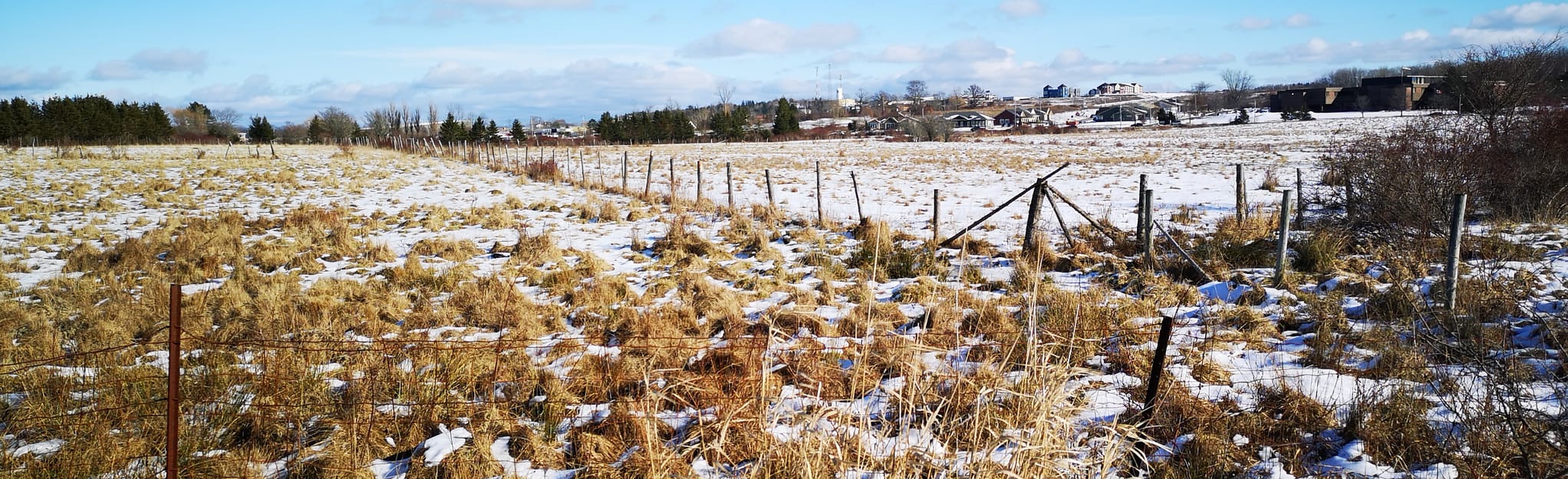 Trigothic Trail, Nova Scotia, Canada - 31 Reviews, Map | AllTrails