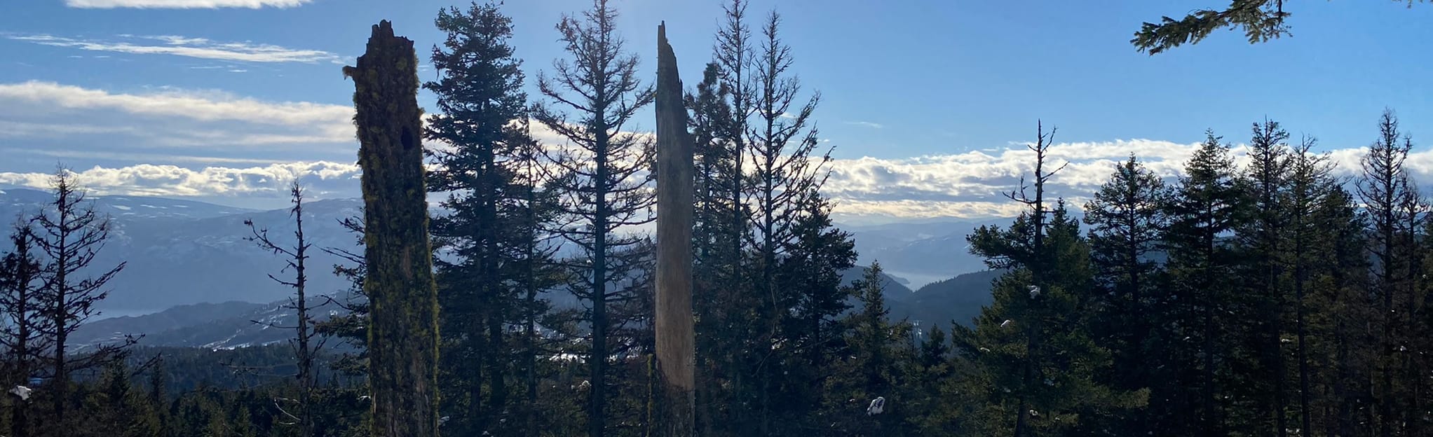 Telemark Snowshoe Main and Ridgeview Loop: 13 Reviews, Map - British ...