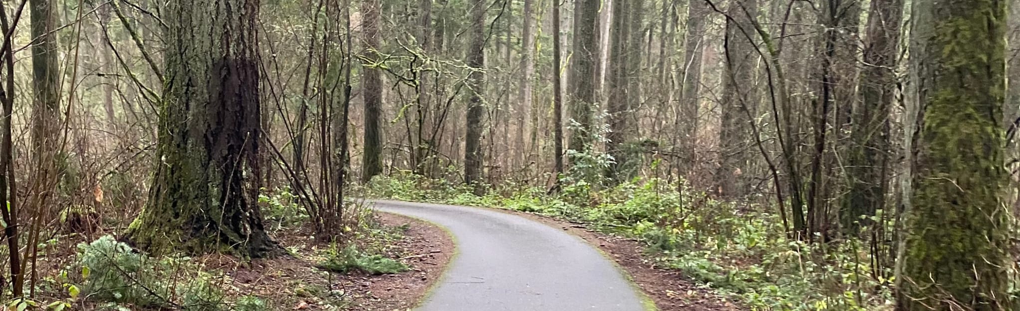 Lowami Hart Woods Loop, Oregon - 206 Reviews, Map | AllTrails