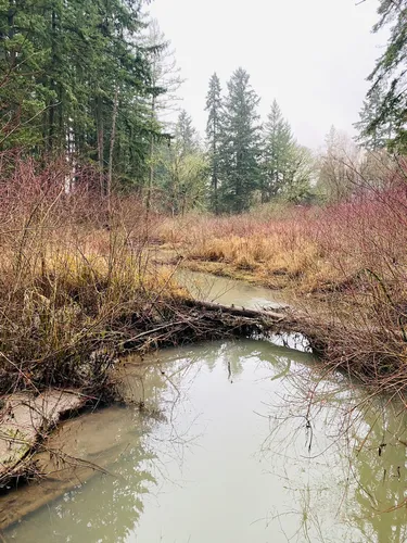 Best Hikes and Trails in Lowami Hart Woods Natural Area | AllTrails