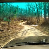 Flagg Mountain via CC Camp Trail , Alabama - 57 Reviews, Map | AllTrails