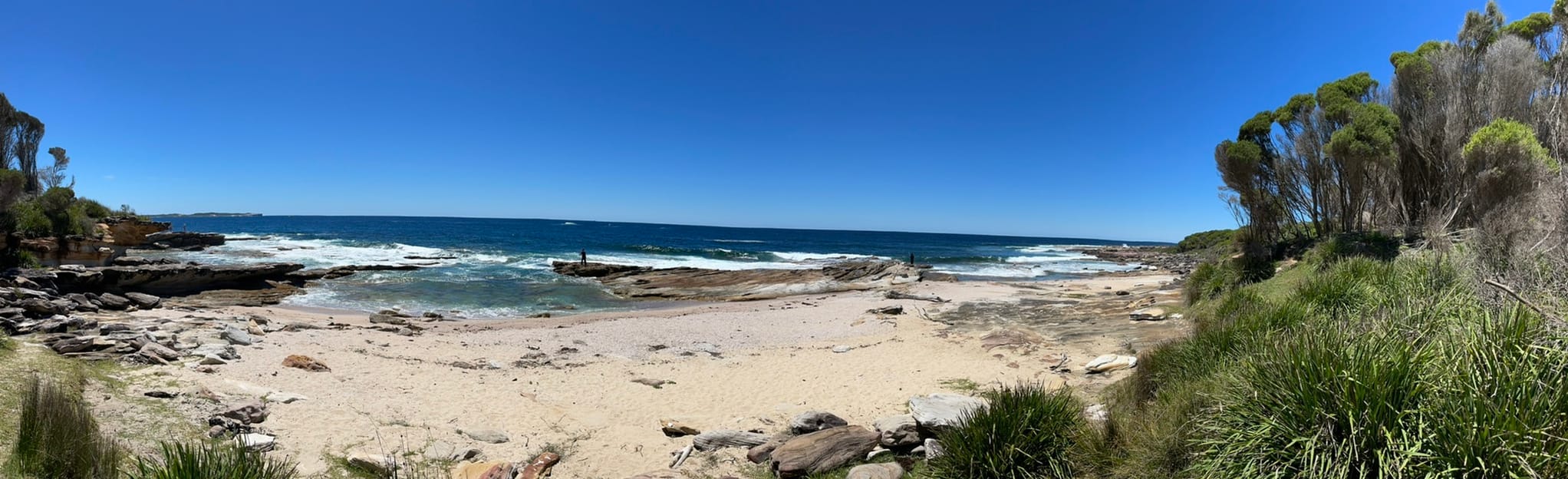 Jibbon Head and Shelly Beach Loop - New South Wales, Australia | AllTrails