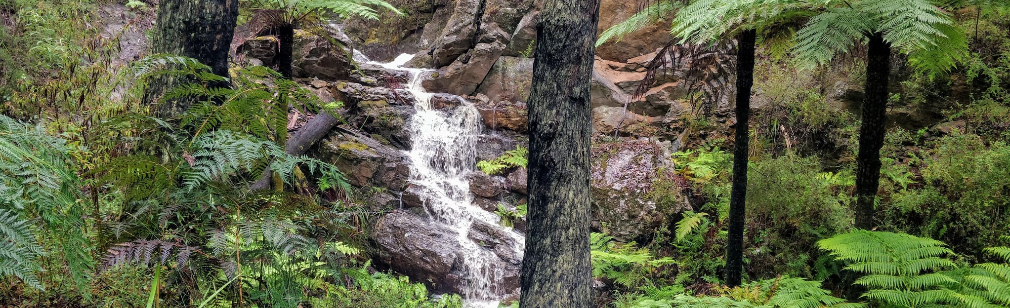 Currawong Falls, Victoria, Australia - 278 Reviews, Map | AllTrails