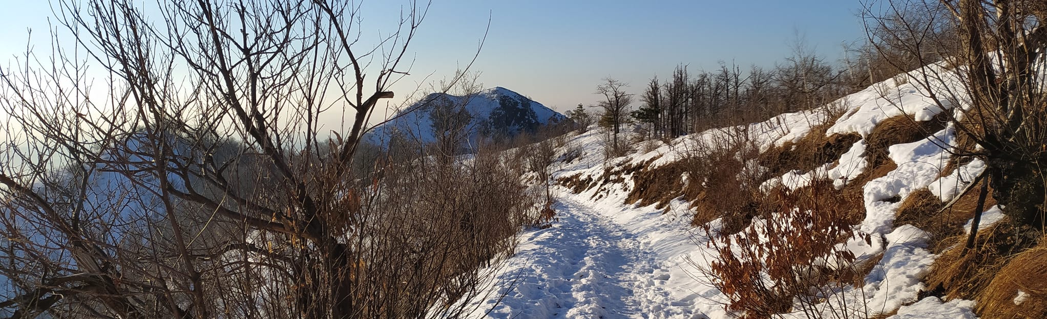 Monte Martica - Punta Rossotti - Monte Chiusarella: 6 Reviews, Map ...