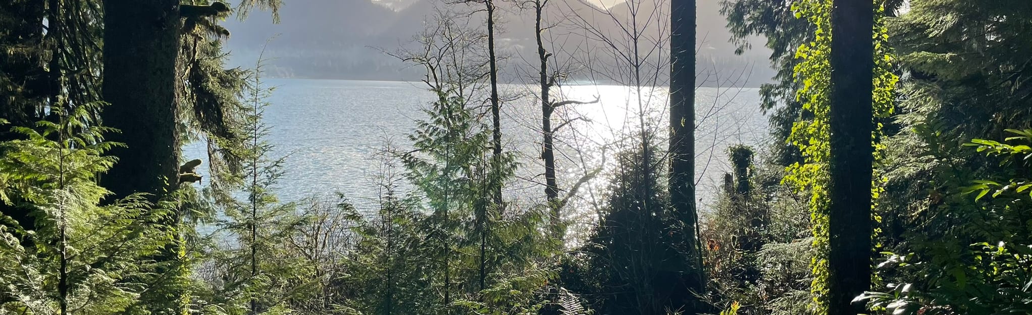 July Creek Picnic Area and Overlook, Washington - 55 Reviews, Map ...