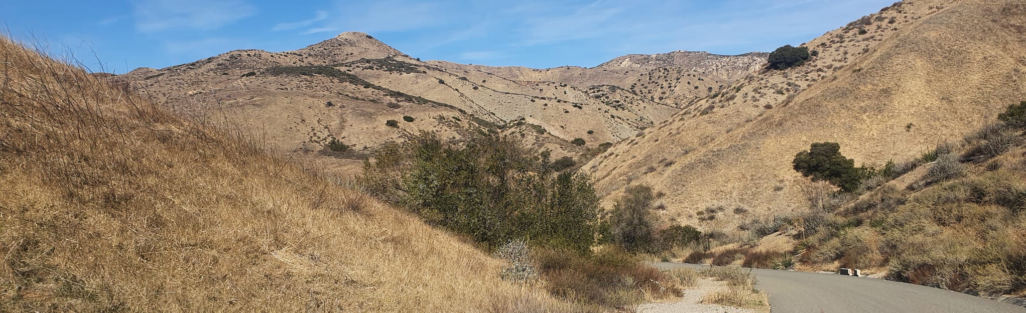 Las Llajas Canyon Trail, California - 595 Reviews, Map | AllTrails