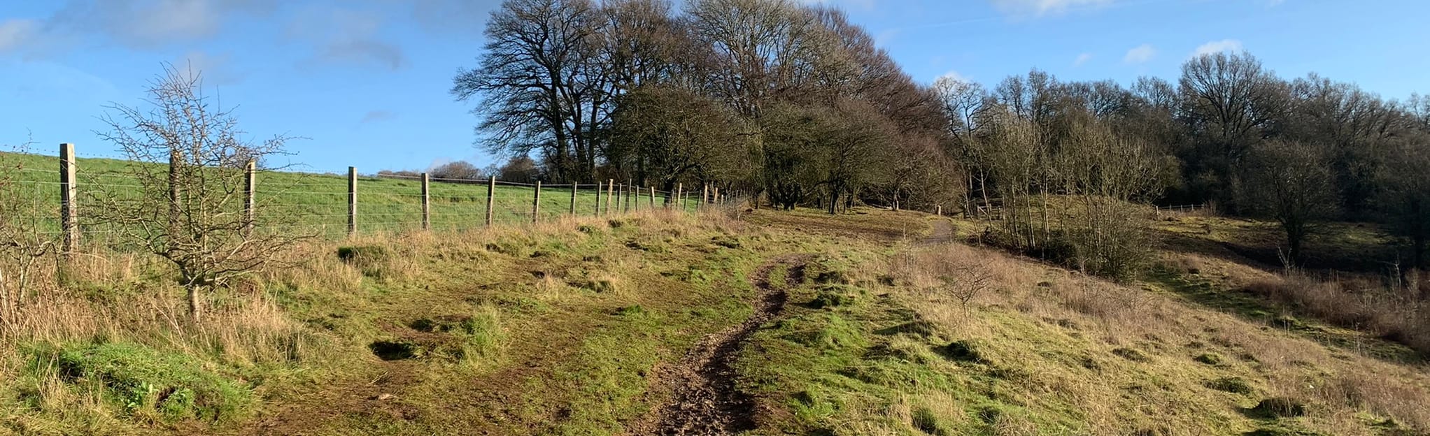 Aston Rowant Nature Reserve Circular, Oxfordshire, England - 10 Reviews ...