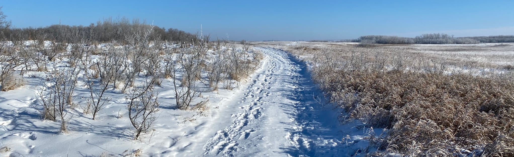 Prairie Grass Trail: 5 Reviews, Map - Manitoba, Canada | AllTrails
