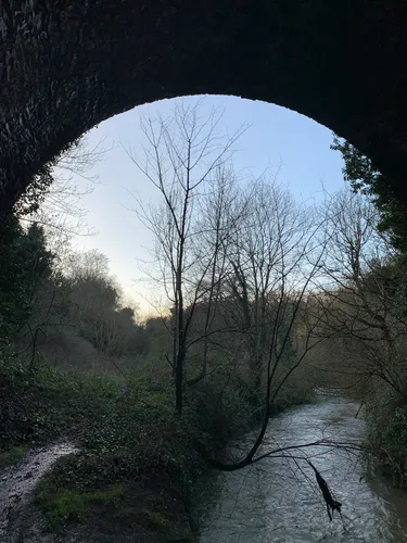 Best Hikes and Trails in Ward River Valley Park | AllTrails