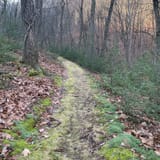 Hogback Mountain via Charcoal Trail, Pennsylvania - 32 Reviews, Map ...