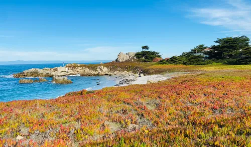10 Best Trails and Hikes in Monterey | AllTrails
