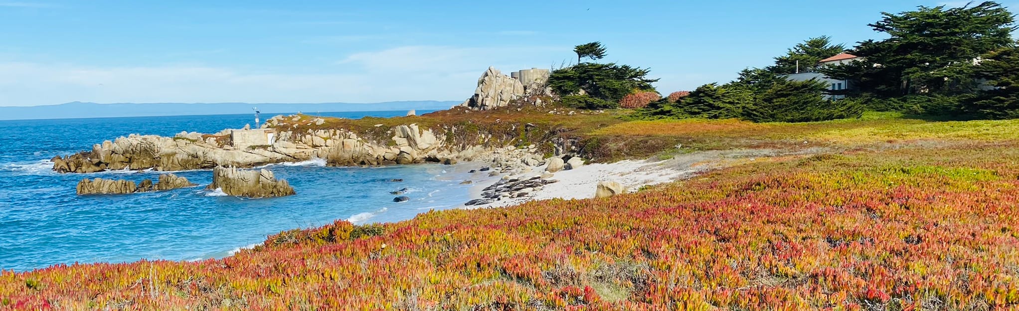 Shoreline Stroll Trail, California - 424 Reviews, Map | AllTrails