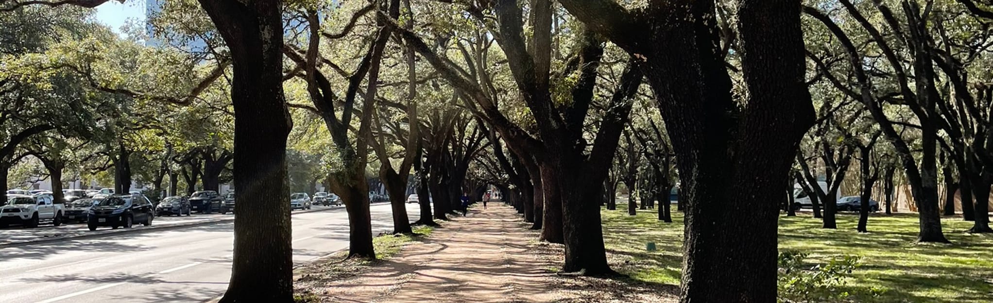Rice University Running Trail, Texas - 449 Reviews, Map | AllTrails