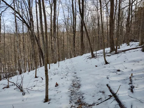 Best Hikes and Trails in Bully Hill State Forest | AllTrails