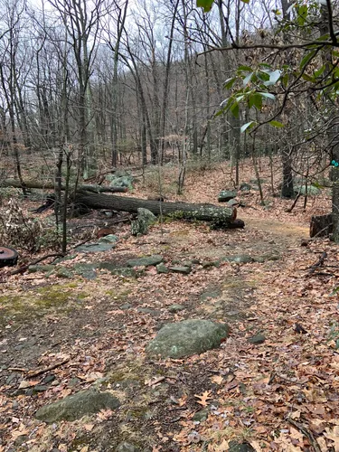 10 Best Hikes and Trails in Hudson Highlands State Park Preserve ...