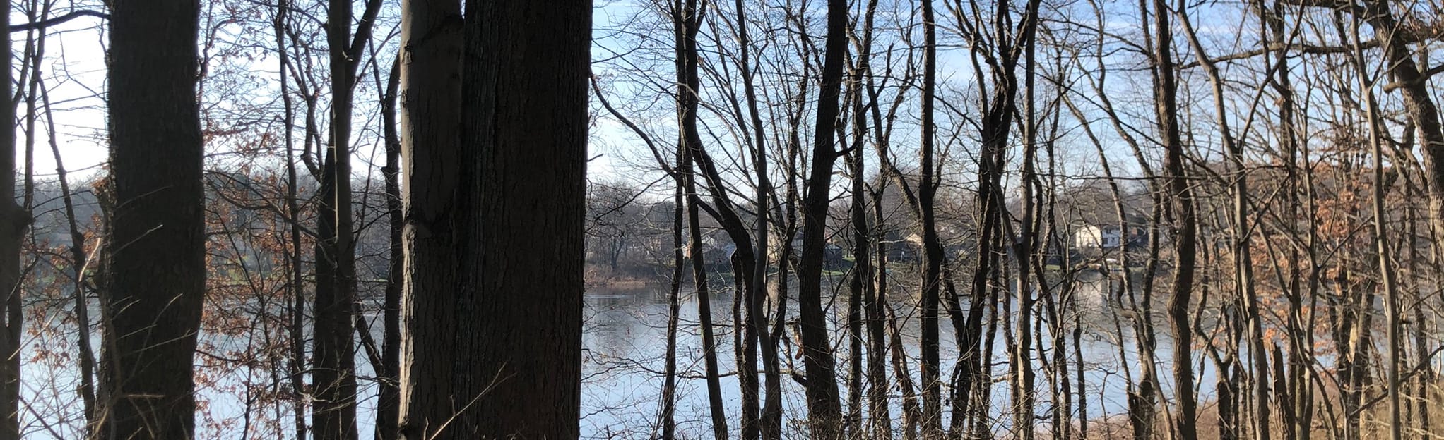 Sippo Marina Trail: 46 Reviews, Map - Ohio | AllTrails