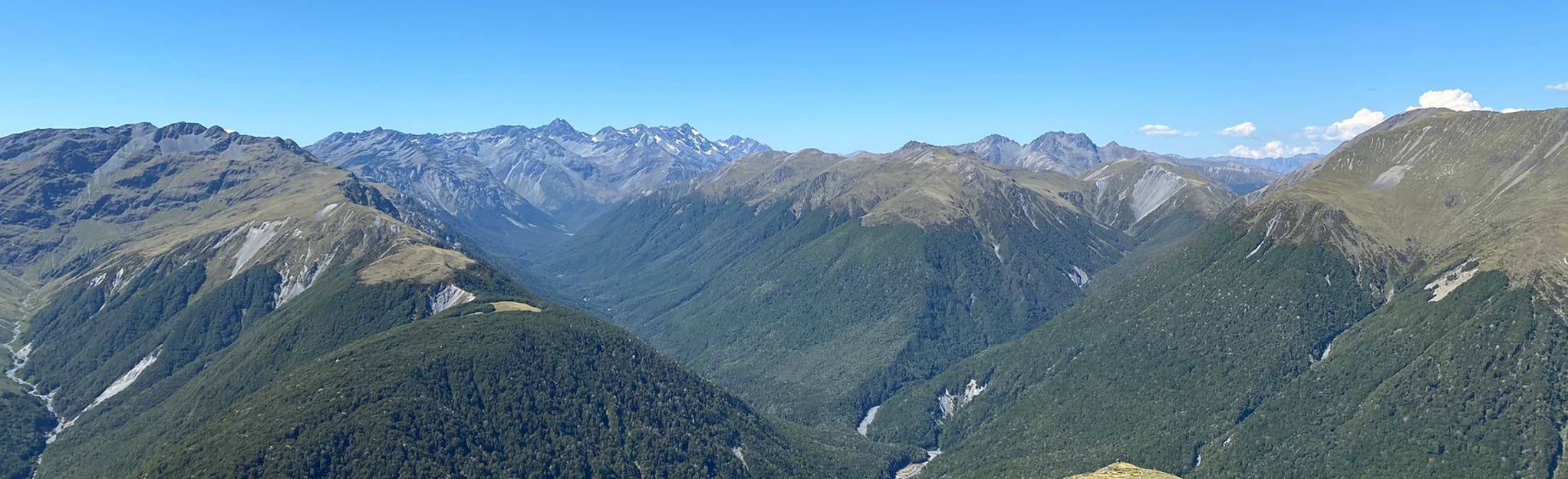 Lewis Tops Track, Canterbury, New Zealand - 55 Reviews, Map | AllTrails