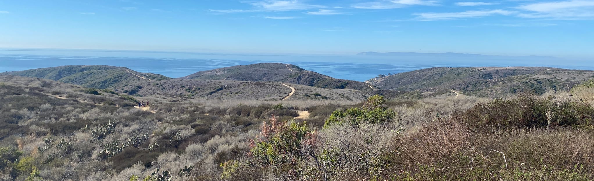 Big Bend, Bommer Ridge and Laguna Ridge Loop: 1.693 foto's - Californië ...