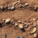 Boston Hill Trail, New Mexico - 201 Reviews, Map | AllTrails