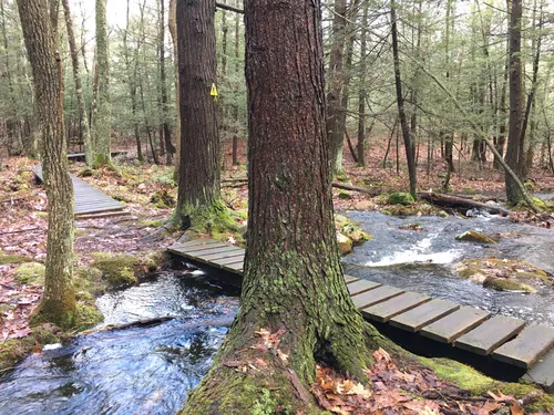 Best Mountain Biking Trails in Douglas State Forest | AllTrails