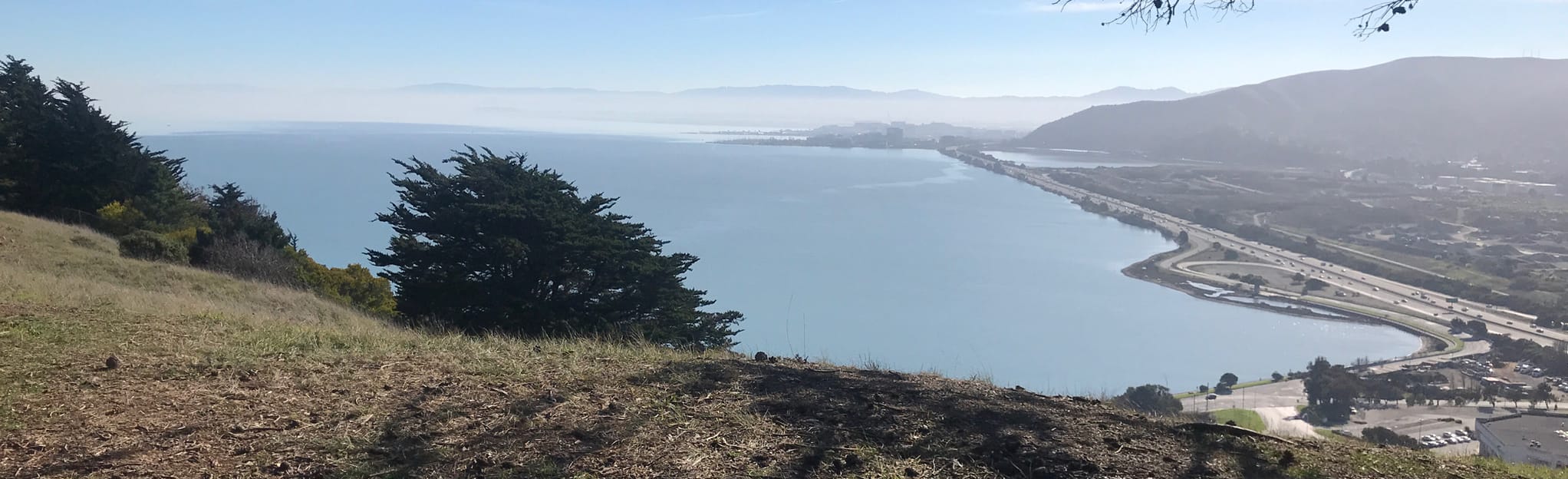 Bayview Hill Loop, California - 143 Reviews, Map | AllTrails