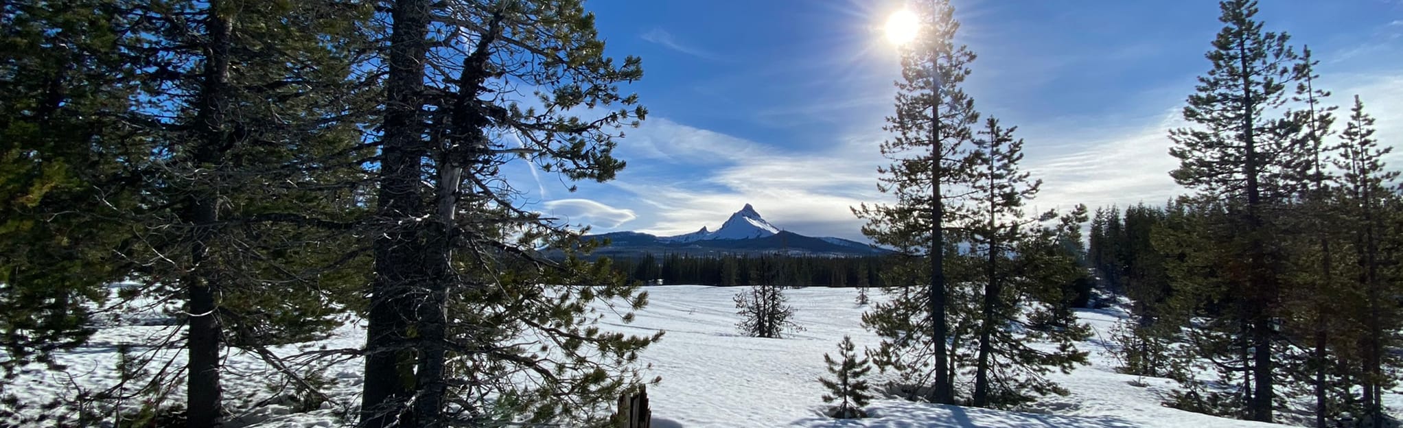 Ray Benson Sno-Park Circle Lake Loop, Oregon - 9 Reviews, Map | AllTrails