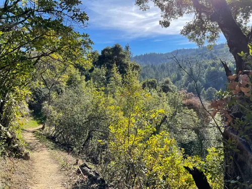 10 Best Trails and Hikes in Portola Valley | AllTrails