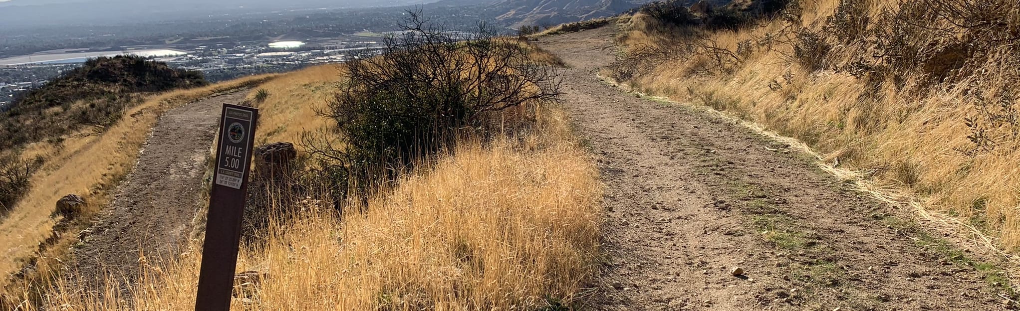 Olive View Loop, California - 143 Reviews, Map | AllTrails