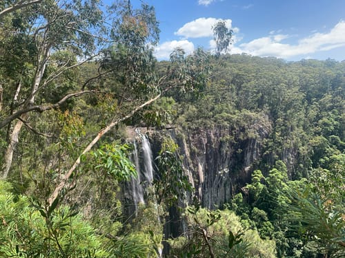 2023 Best Long Trails in Whian Whian State Conservation Area | AllTrails