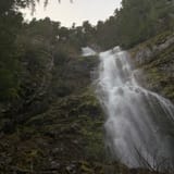 Skookum Falls via Skookum Flats Trail, Washington - 120 Reviews, Map ...