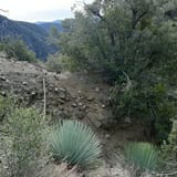Allison Mine Loop [CLOSED], California - 33 Reviews, Map | AllTrails