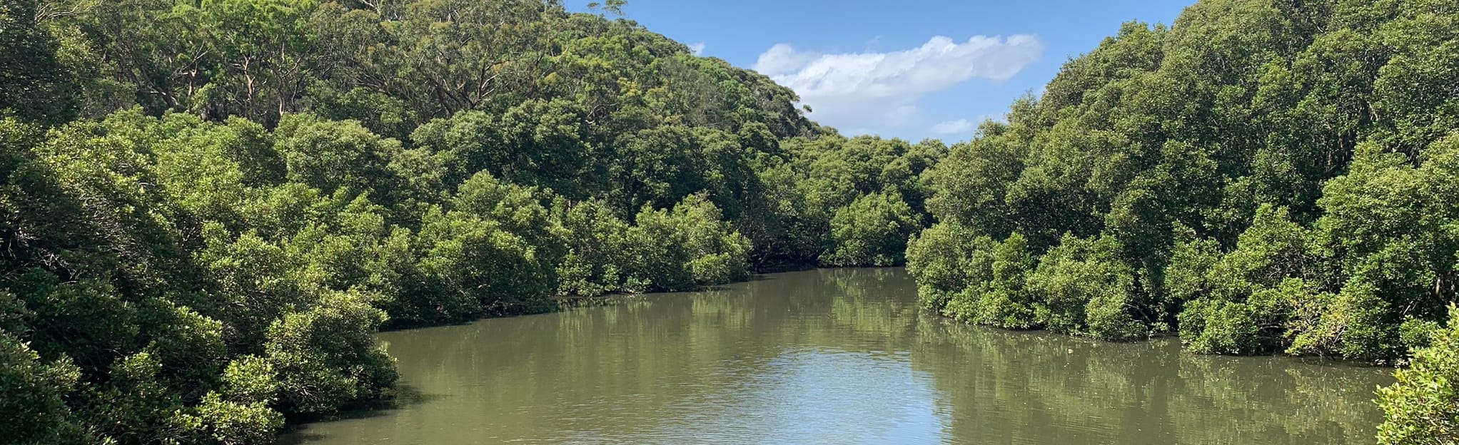 Lime Kiln Bay and Oatley Park Loop, New South Wales, Australia - 494 ...