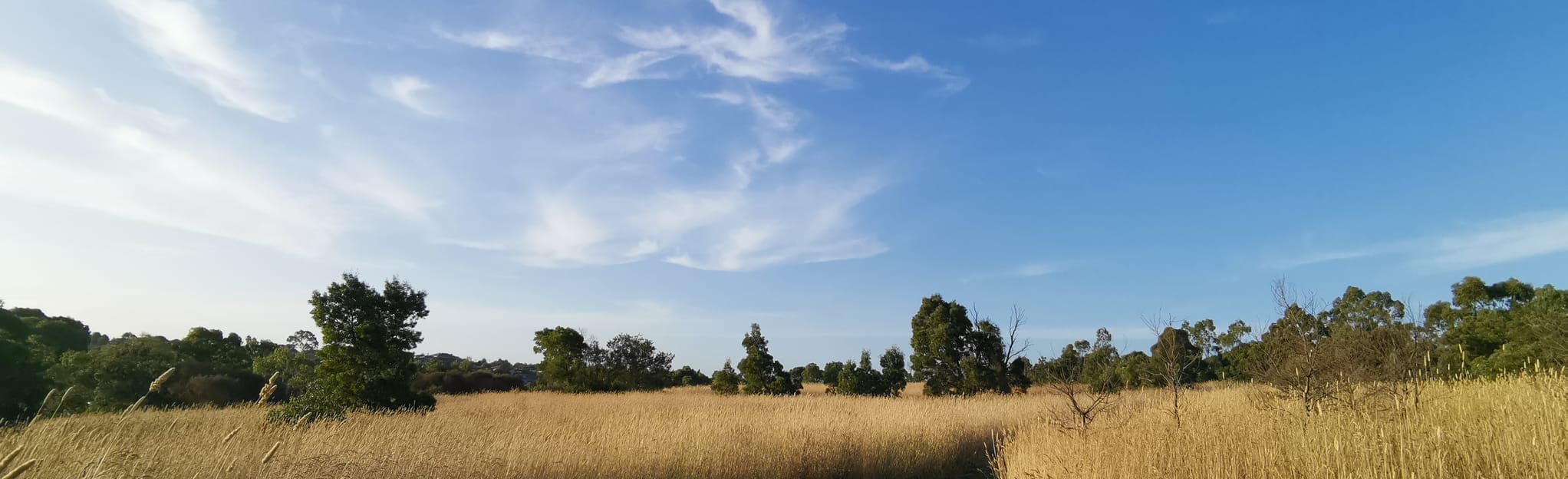 Bundoora Park Loop via Mount Cooper | Map, Guide - Victoria, Australia ...