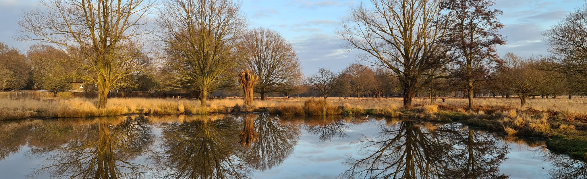 Green London Way: Wimbledon to Kew Bridge, London, England - 19 Reviews ...