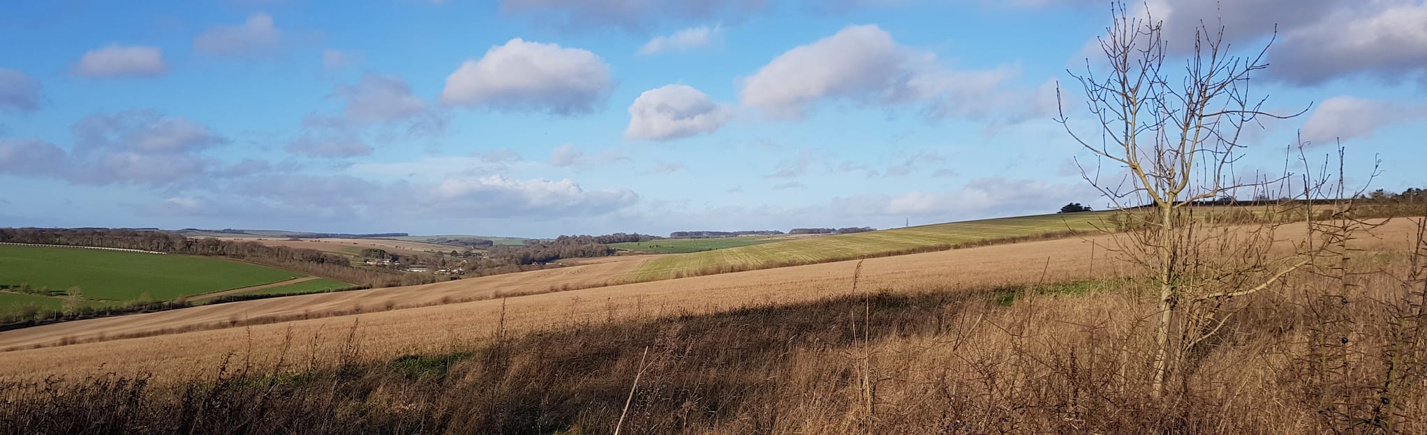 Long Hedge Circular: 23 foto's - Berkshire, England | AllTrails