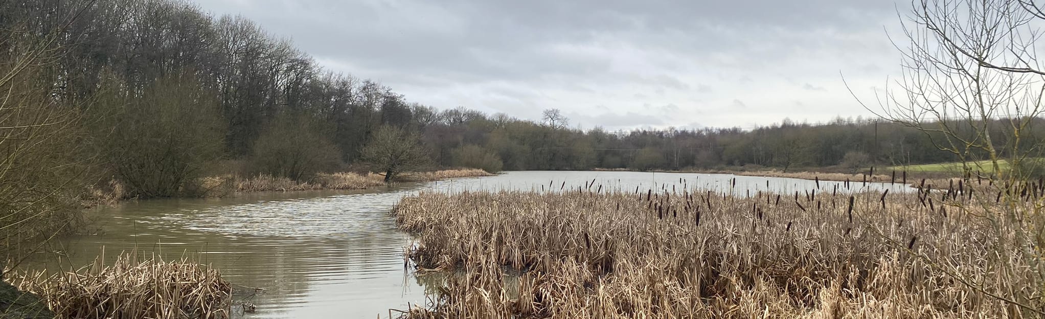 Willesley Woods Circular, Leicestershire, England - 18 Reviews, Map ...