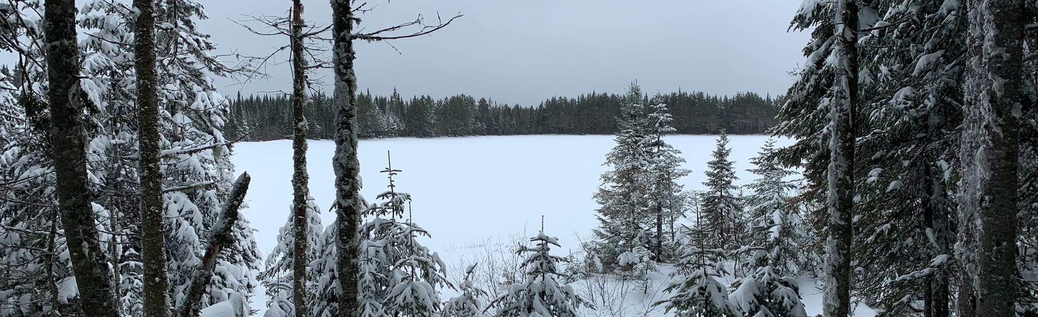Sentier des Caps - Lac Gauthier, Quebec, Canada - 16 Reviews, Map ...