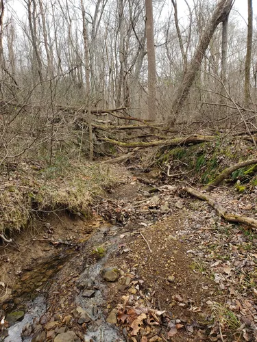 Best Hikes and Trails in Higginson-Henry Wildlife Management Area ...