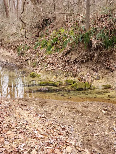 Best Hikes and Trails in Higginson-Henry Wildlife Management Area ...