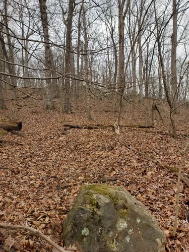 Best Hikes and Trails in Higginson-Henry Wildlife Management Area ...