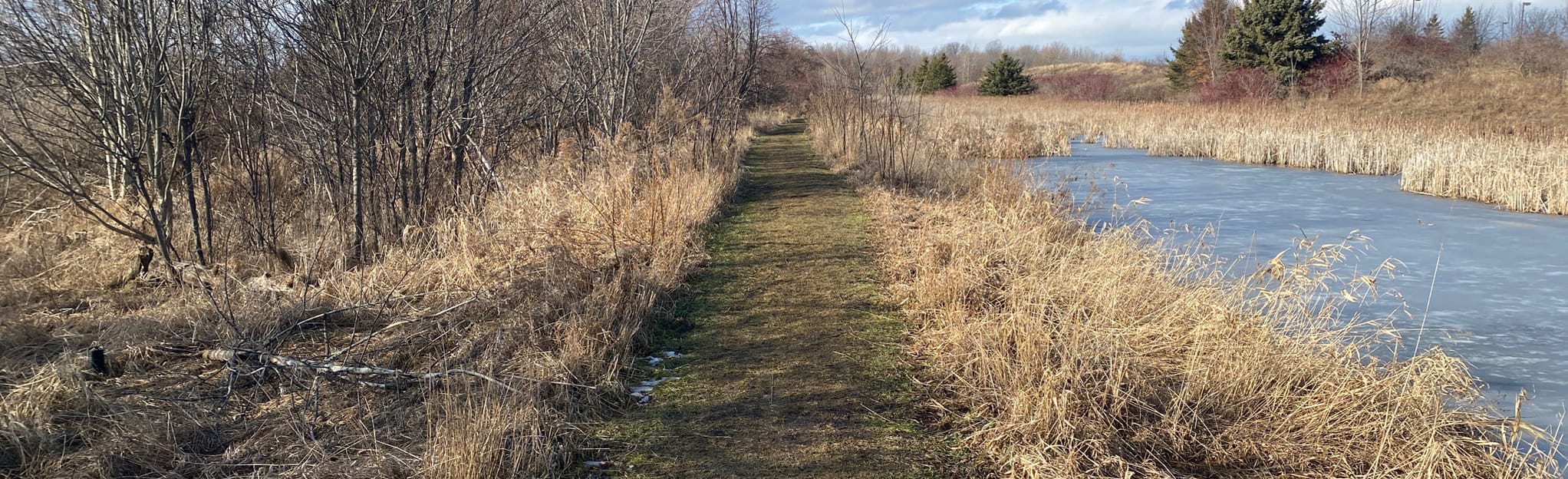 Marshland Trail, Ontario, Canada - 54 Reviews, Map | AllTrails