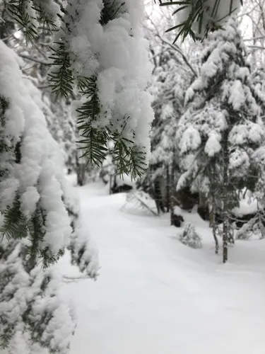 2023 Best Wild Flowers Trails in Saint-Mathieu-de-Rioux | AllTrails